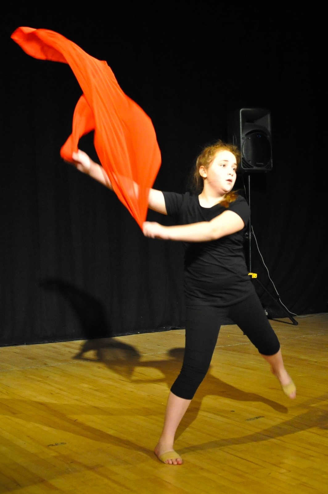 Charles Darwin School - Twenty-second Annual Dance Competition - 2019